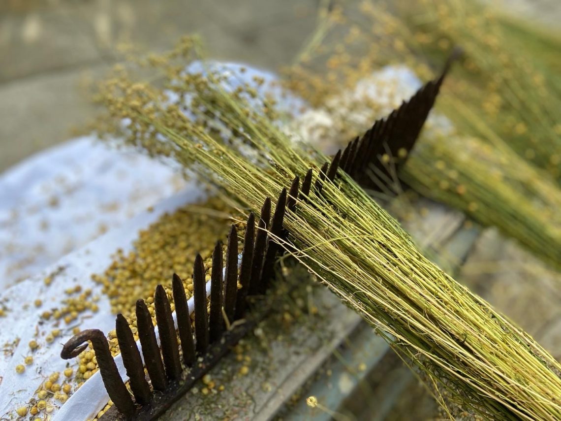 Flachsjahreskreis, Modul 1 „Anbauen und Flachs spinnen lernen“ - Schule ...